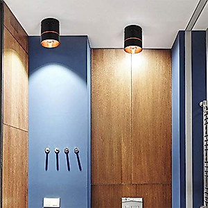 PEHUB 5W 10W 15W Downlight Indoor Ceiling Surface Mounted Spotlight Picture Display Accent Lamp Warm White 3000K 6000K LED Down Light Hotel Loft Villa Home Lighting High Brightness (Color : Black(15W