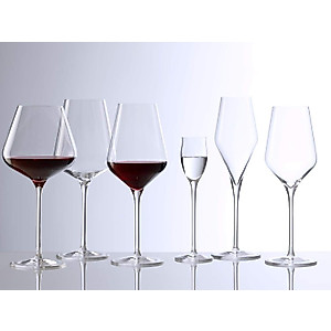 Stolzle Lausitz Quatrophil German Made Crystal Champagne Glass, Set of 6