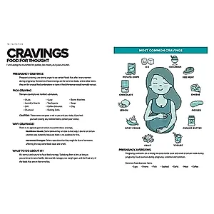 The Simplest Pregnancy Book in the World: The Illustrated, Grab-and-Do Guide for a Healthy, Happy Pregnancy and Childbirth