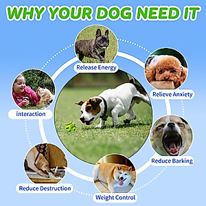 Five Thousand Years Small（3.14" Diameter Wobble Dog Toys Ball,Shake Make Giggle Sound,Squeaky Dog Toys Ball,Chewing Ball for Training,Herding Balls Indoor Outdoor Safe Dog Gifts for Puppy Small Dogs