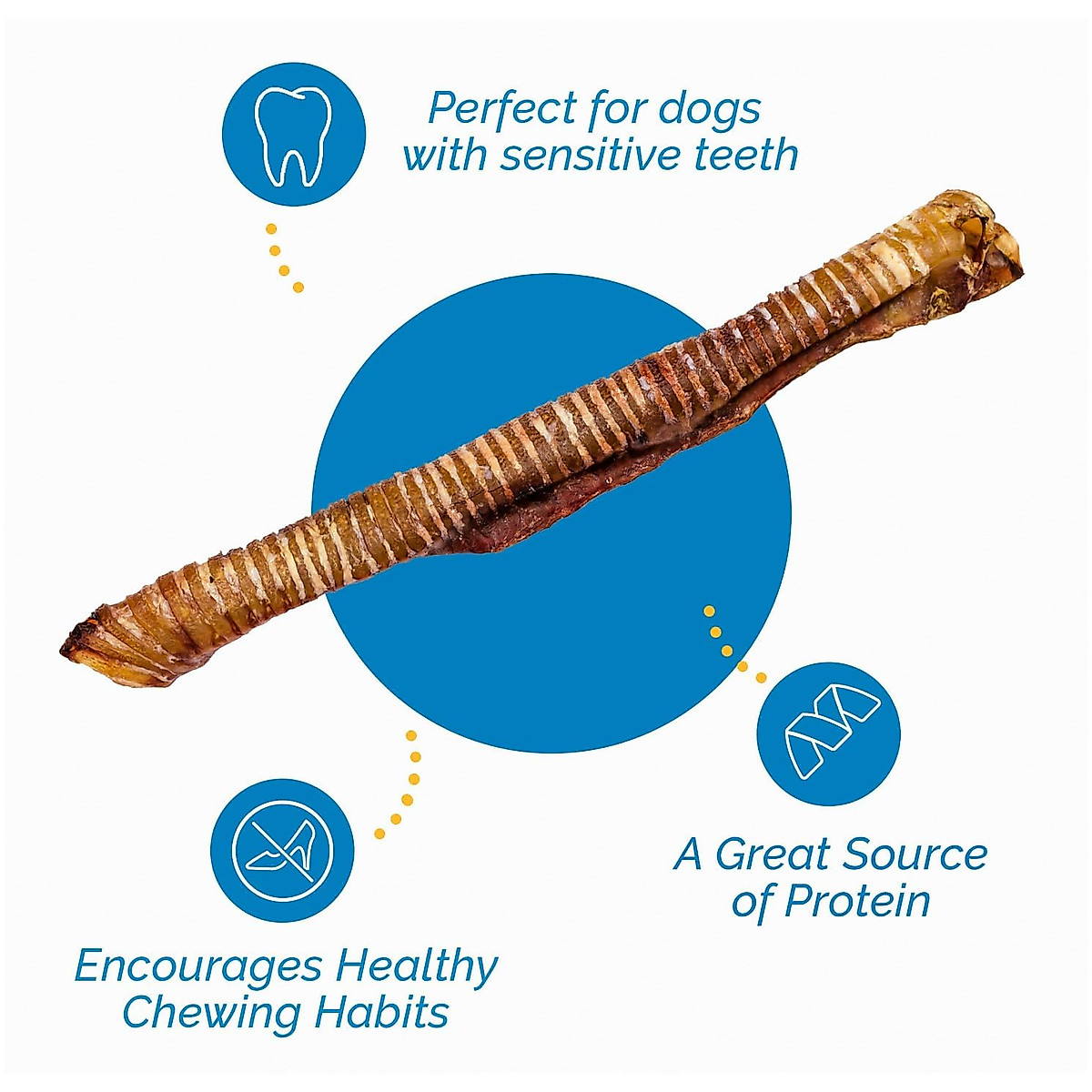 123 Treats Premium Beef Trachea for Dogs – 12 Inch 100% Natural Beef Dog Chews, Rich in Glucosamine and Chondroitin for Joint & Hip Mobility (10 Count)