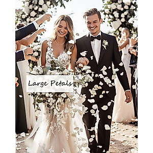 REAL Rose Petals, Pearl White Freeze-Dried Petals 3.5oz Biodegradabel Wedding Natural Confetti, Perfectly Preserved Flower Petals for Table Decorations