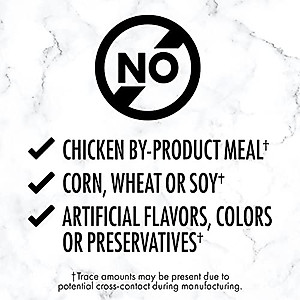 NUTRO Natural Grain Free Adult Dog Wet Food Cuts in Gravy Variety Pack of Beef, Lamb, Chicken, and Turkey Recipes, 3.5 oz. Trays (Pack of 36)