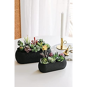 miltonson Artificial Succulent Plants - 18 Pack - Premium Fake Plants - Double Flocked Succulents - Realistic Textured Cactus - Face Succulent Plants - Mini Faux Succulents - Face Plant Decor