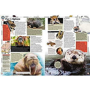 Guinness World Records 2021