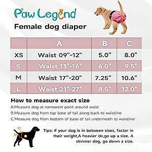 Paw Legend Washable Reusable Female Dog Diapers - No Leak Doggie Diapers for Heat Cycle (3 Pack,X-Small)