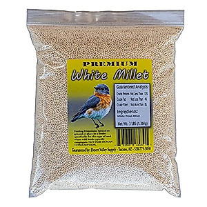 Desert Valley Premium White Millet Proso Seeds - Wild Bird Food- Cardinal, Finch & More (3-Pounds)