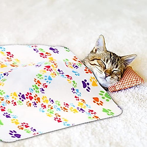 10 Pieces Pet Blankets with Paw Print Dog Cat Soft Fleece Blankets Sleep Mat Pad Bed Cover for Kitten Puppy and Other Small Animals, 24 x 28 Inch (Vibrant Color)