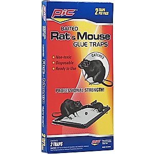 PIC Baited Rat & Mouse Glue Traps, 2 Count (Pack of 12)