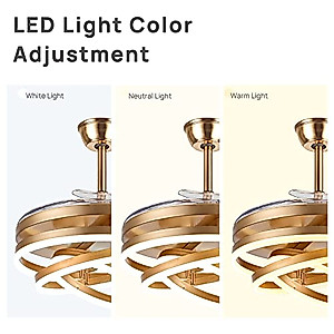 Minfeng Retractable Ceiling Fan with Lights and Remote Control, 42 Inch Farmhouse Ceiling Fans for Bedroom, Living Room, Study, Patio, (Gold)