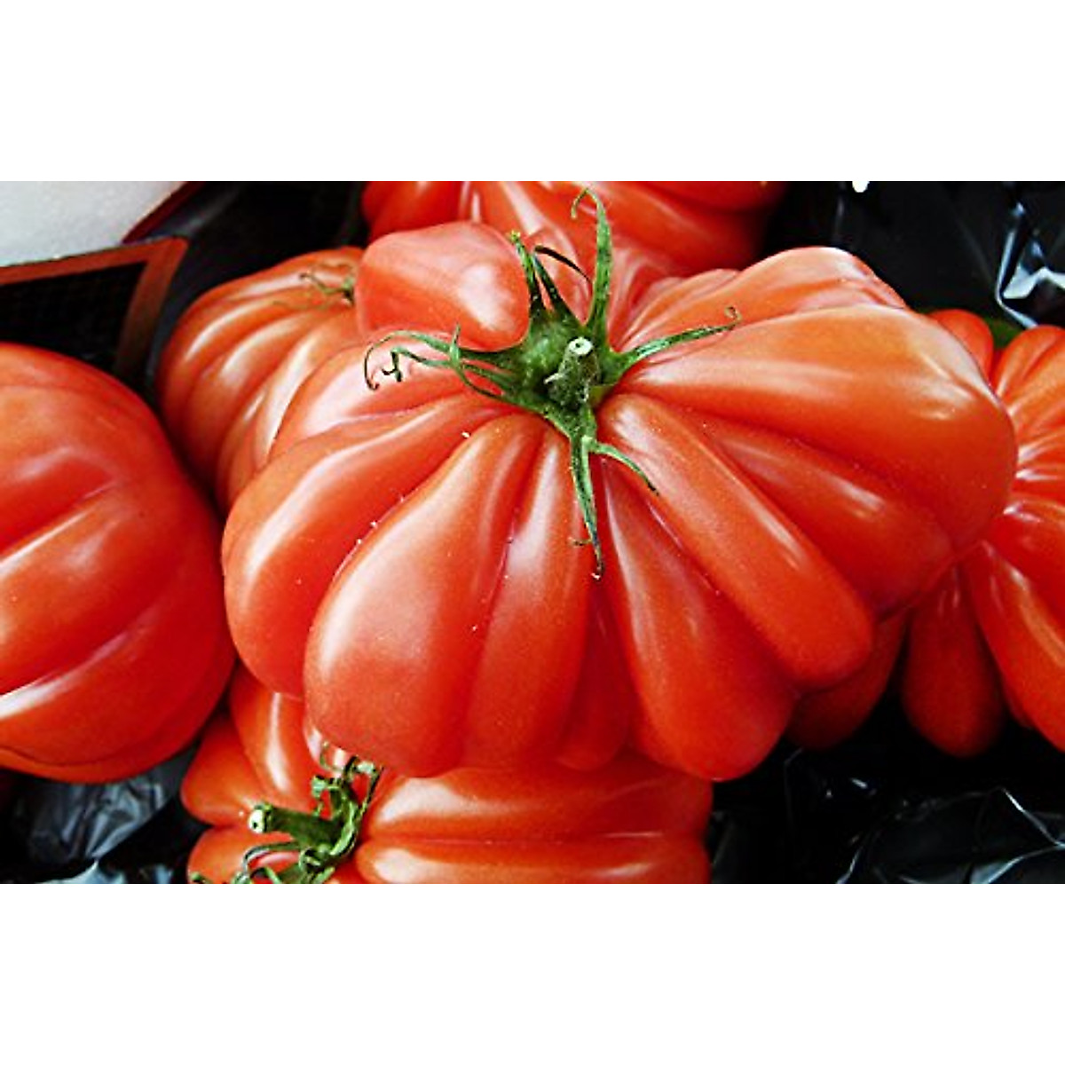 30+ Costoluto Genovese Pomodoro Tomato Seeds, Heirloom Non-GMO, Low Acid, Indeterminate, Open-Pollinated, Productive from USA
