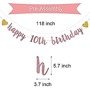 XIAOLUOLY Rose Gold Glitter Banner,Pre-Strung,10th Birthday Party Decorations Bunting Sign Backdrops,Happy 10th Birthday