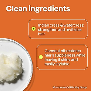 ATTITUDE Amplifying Conditioner for Curly Hair with Coconut Oil, Vegan Detangler and Naturally Derived Ingredients, 2a, 2b, 2c Curl Type, Gives body to Curls, 16 Fl Oz