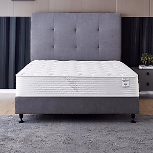 Queen Size Mattress - 10 Inch Cool Memory Foam & Spring Hybrid Mattress with Breathable Cover - Comfort Plush Euro Pillow Top - Rolled in a Box - Oliver & Smith