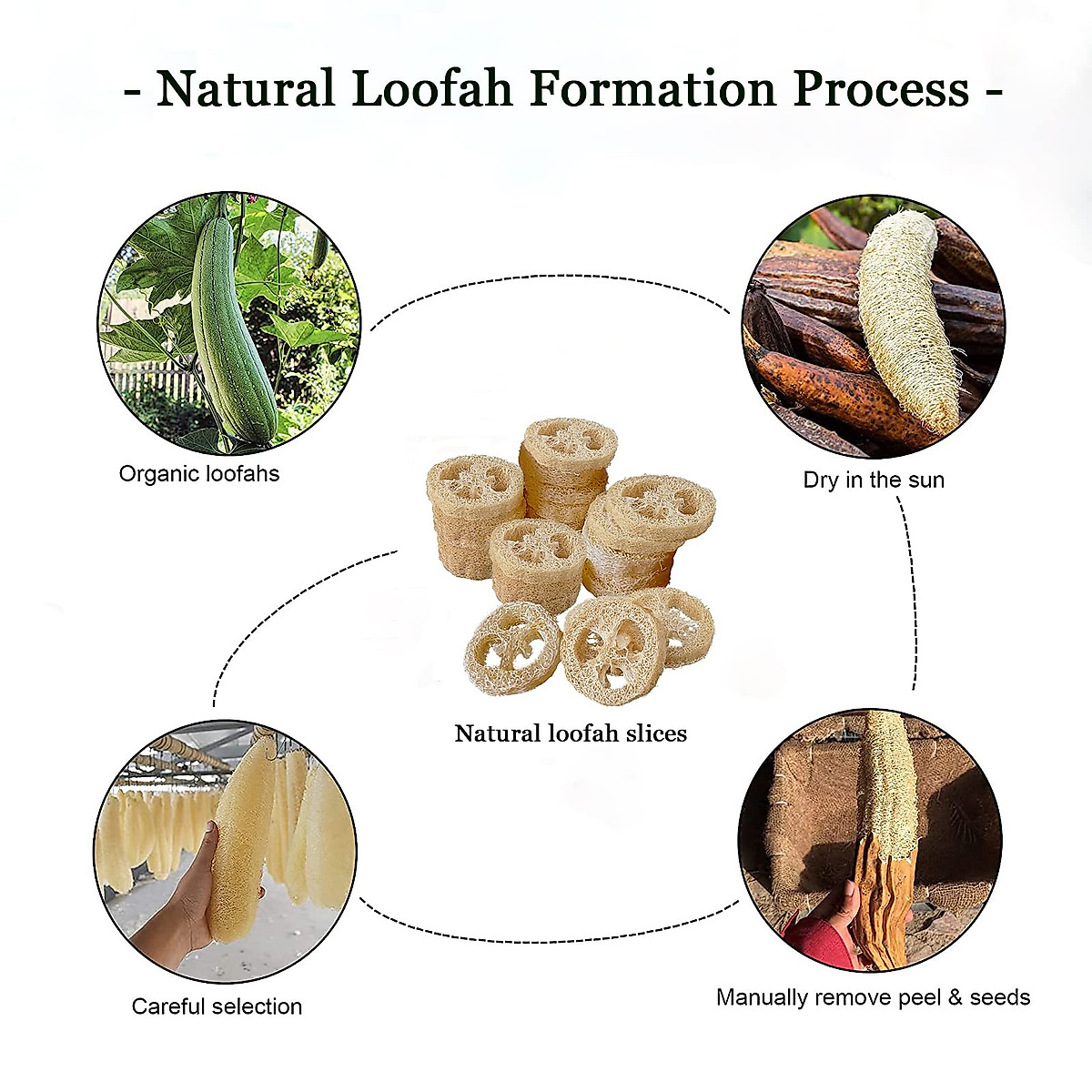 FRTIM Natural Loofah Slices for Soap Making, 20 Pieces Organic Luffa Cuts for DIY Exfoliating Soaps, Homemade Handmade Loofa Soap Supplies
