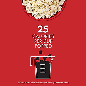 Skinnygirl Butter Flavored & Sea Salt Microwave Popcorn, 10 Count Mini Popcorn Bags (6 Boxes)