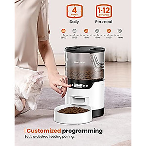 Automatic Cat Feeder, Timed Cat Feeder with Adjustable Feeding Schedule, Cat Dry Food Dispenser, GIOTOHUN pet feeders with Desiccant Bag, 1-4 Meals Per Day, 10s Voice Recorder, Dual Power Supply
