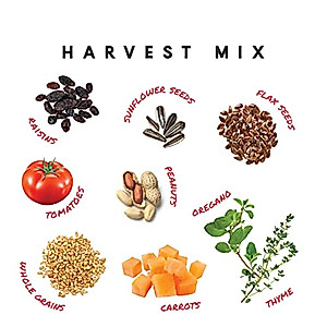 Manna Pro Chicken Treats - Harvest Delight Chicken Scratch - Chicken Feed Treat - Chicken Scratch Feed - 2.25 Pounds