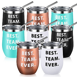 Pinkunn 8 Pcs Best Team Ever Tumblers Thank You Employee Appreciation Gifts Stainless Steel Insulated Wine Tumbler Christmas Team Gifts with Lid and Straw for Coworkers Women Men, 12 oz(Black)