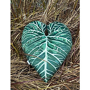 HOFFENDER Leaf Pillows Plant Pillows for Bedroom, Living Room and Patio Green Throw Pillows (Anthurium Regale)