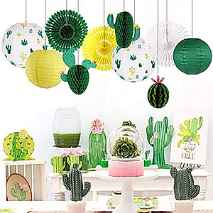 Cactus Party Decorations, Hawaiian Party Supplies Tropical Cactus Hanging Paper Lanterns Cactus Honeycomb Tissue Paper Fans for Llama Birthday Summer Party Home Decoration (Green)
