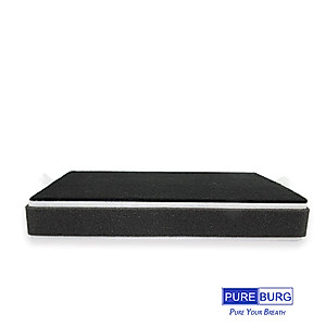 PUREBURG F2 Filter Compatible with Filtrete FAP-C02WA-G2 FAP-C03BA-G2 FAP-T03BA-G2 Air Purifiers, 2-Pack HEPA H13 + Activated Carbon Pre-Filters x 8