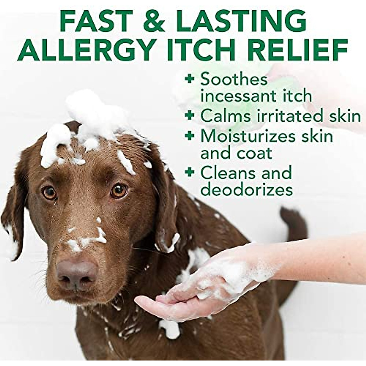 Vet's Best Allergy Itch Relief Dog Shampoo | Cleans and Relieves Discomfort from Seasonal Allergies | Gentle Formula | 16 Oz
