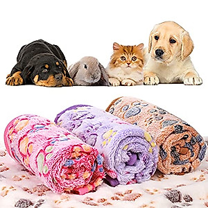 4 Pcs Pet Blanket Dog Puppy Blanket Paw Print Fleece Blanket for Small Medium Large Pet Dog Cat Warm Soft Sleep Mat Guinea Pig Cage Liners Blanket (White, Coffee, Pink, Purple, Small)