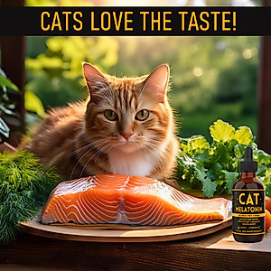 Cat Melatonin Drops 60ml Salmon Flavor, Melatonin for Cats to Sleep, Cat Calming Treats, Cat Calming Products, Cat Sleep Aid, Cat Anxiety Relief, Cat Travel Anxiety Relief for Cats