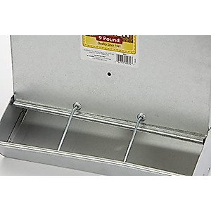 Piglet Feeder - Little Giant - 3-Hole Baby Pig Feeder (Item No. BPF3)