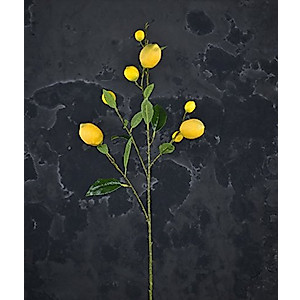 GiDiProtea Artificial Lemon Branch Yellow Vivid Artificial Fake Lemon Flower Home Party Garden Decoration 2Pcs 7 Lemons