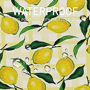 Pencil Pouch Pencil Case Pencil Bag Pen Case Pouch Box Organizer for Teen Girls Boys School Students Men Women Waterproof Zipper Pouch for Office Supplies Makeup, Lemon Décor Lemon Party Decorations