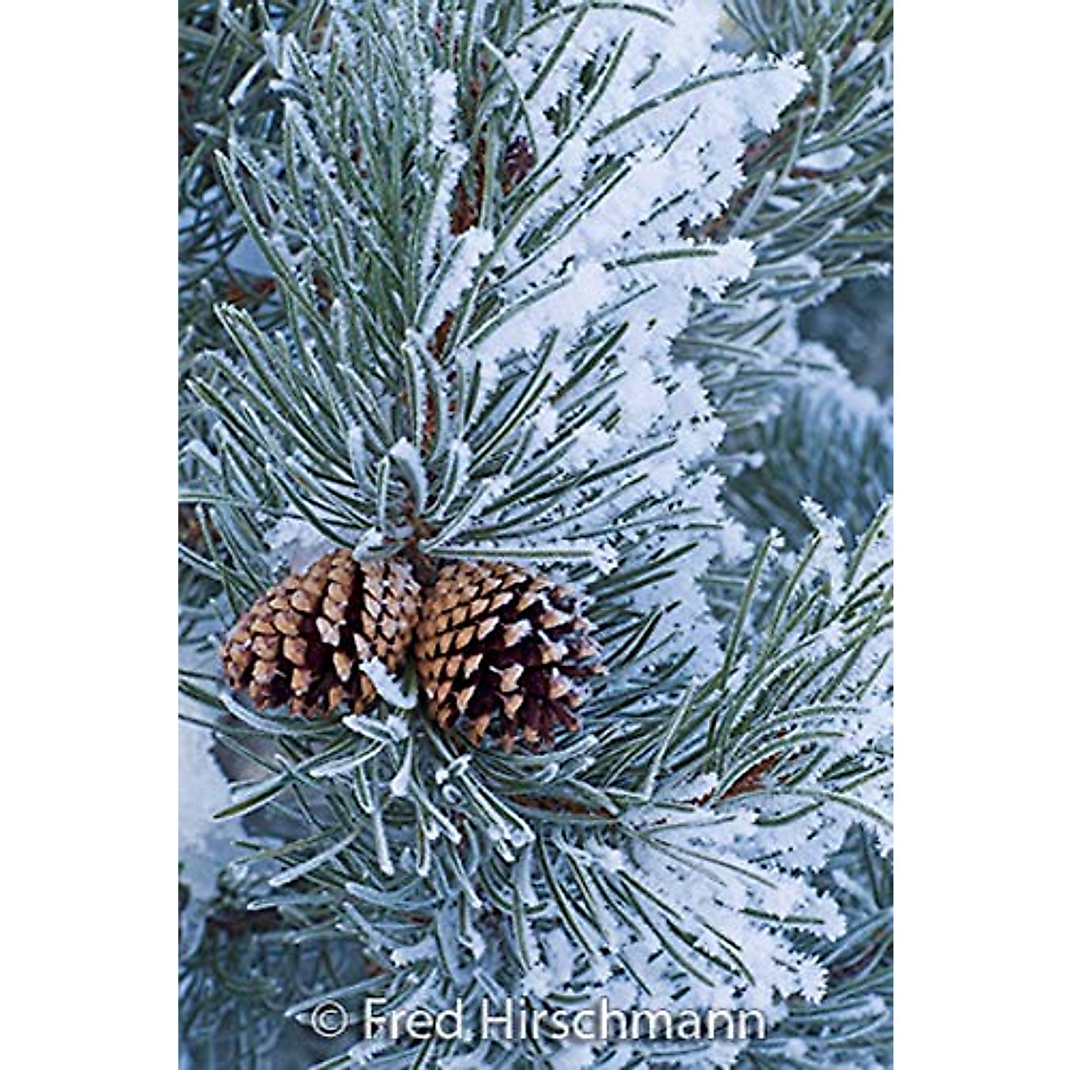 Sierra Club Engagement Calendar 2021