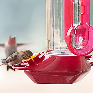 Perky-Pet 455-2 Mounted 445-2 Glass Window Hummingbird Feeder, Red – 14 oz