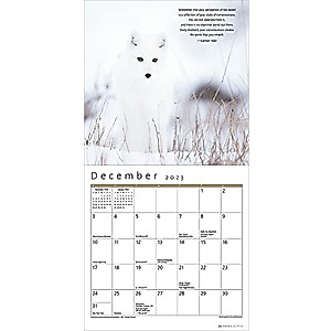 The Power of Now 2023 Wall Calendar: A Year of Inspirational Quotes by Eckhart Tolle | 12" x 24" Open | Amber Lotus Publishing