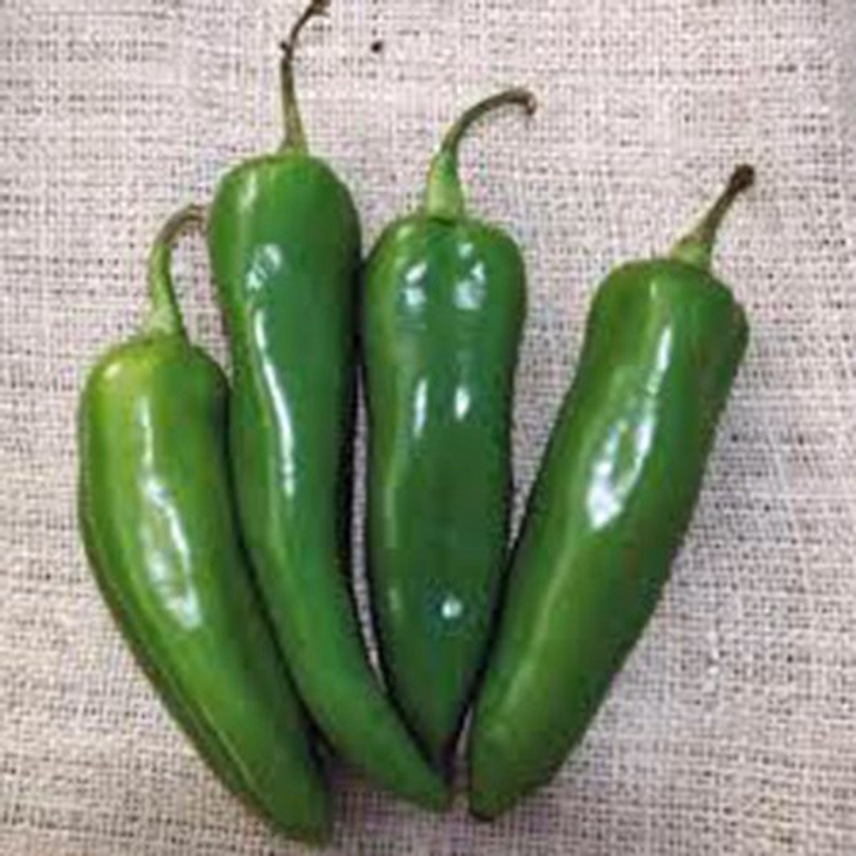 Pepper, Anaheim, Heirloom, 100 Seeds, Mildly Spicy Great Fresh OR Dried
