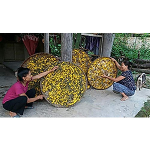 Mimi Organic 100% Natural Mulberry Silk Hand Face Yoga Towel 2 Layer | Newborn Baby and Woman | Heavenly Soft Washcloth 12x12in 1pc, Natural Yellow No Bleached No Dyed