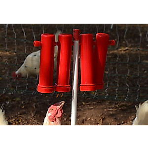RentACoop Chicken Treat Dispenser - Suitable for Small and Large Treats - Includes Post for Indoor and Outdoor Placement - Large Size with 4 Tubes