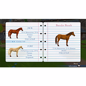 My Riding Stables - Life with Horses - PlayStation 4