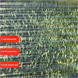 AIROTRON Clear Roof Sheet,2mm Thick Corrugated Roofing Sheets,Rainproof FRP Daylighting Plate,UV Protection Fiberglass Daylighting Panels,Mute Roofing Material,1/3/5/6/8/10/12/15 Pcs (35x43in,3 Pcs)