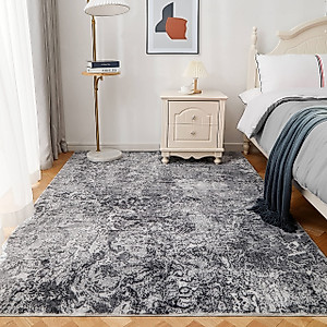 Area Rug Living Room Rugs: 5x7 Indoor Abstract Soft Fluffy Pile Large Carpet with Low Shaggy for Bedroom Dining Room Home Office Decor Under Kitchen Table Washable - Retro Gray