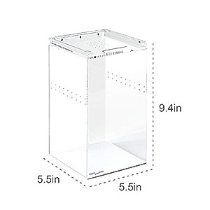 REPTI ZOO Magnetic Acrylic Case, 6x6x9 Inch Enclosure Reptile Breeding Box Terrarium Cage Tank for Tarantula Scorpion Sling Isopods Lizards Roach Invertebrates Insect Mantis