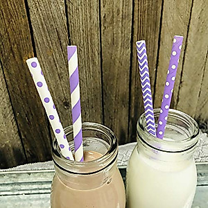 Lavender Lilac White Paper Straws Chevron Polka Dot - 7.75 Inches - 100 Pack - Outside the Box Papers Brand