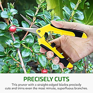 iPower 1.35 Gallon Lawn Garden Pump Sprayer Adjustable Shoulder Strap, Pressure Relief Valve, with 6.5 Inch Hand Pruner Combo, Stainless Steel Blades, Spray Bottle & Yellow, Yellow