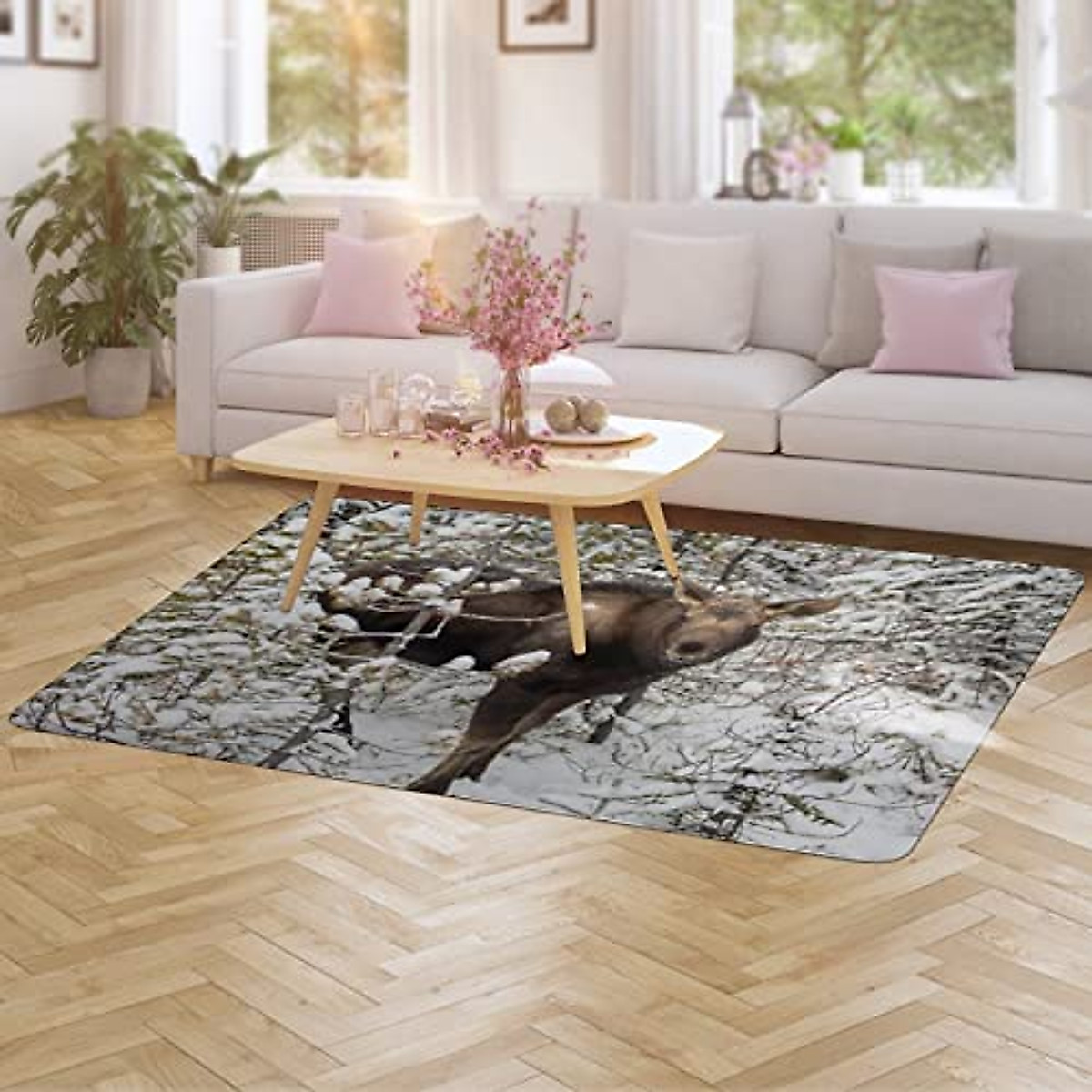 ERUXUGB Cutest Baby Animals | Moose Calf Coral Velvet Floor mat（150×100cm）