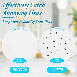 48 Pcs Fly Trap Refill Glue Boards for Mosquito Zapper 3.4" Indoor Insect Trap Refills Glue Pads Flea Trap Replacement Sticky Pads for Mosquitoes Lamp Compatible with 3.4" Katchy Duo Mosquito Killer