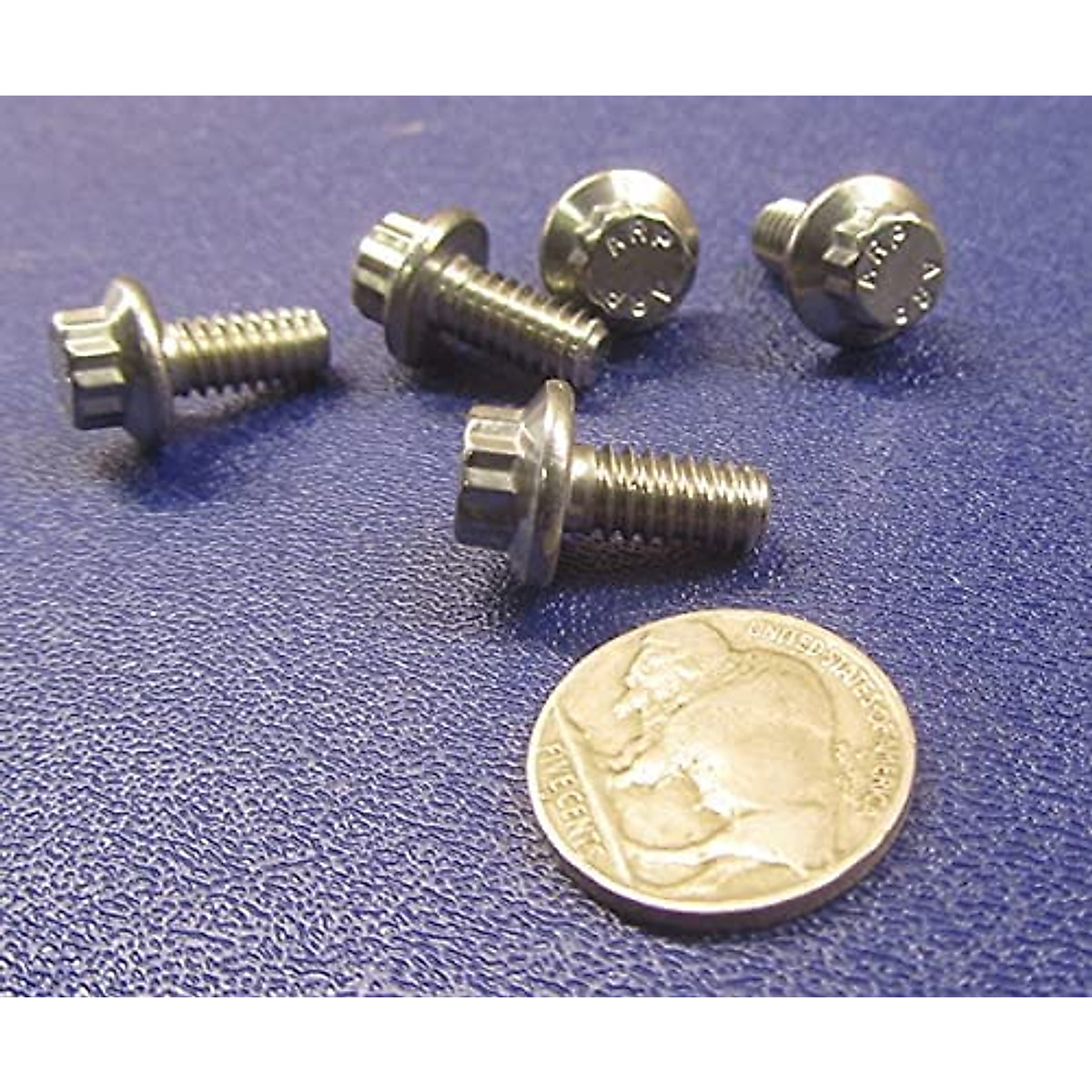 18-8 Stainless Steel 12 Point FT Bolts 1/4"-20 Thread x .500 Length 5 pcs