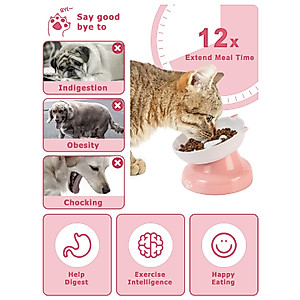 Y YHY Ceramic Slow Feeder Cat Bowl, Elevated Cat Bowl Tilted Design Slow Feeder for Dog and Cat for Dry and Wet Food, Pink