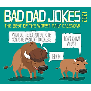Bad Dad Jokes 2021 Box Calendar