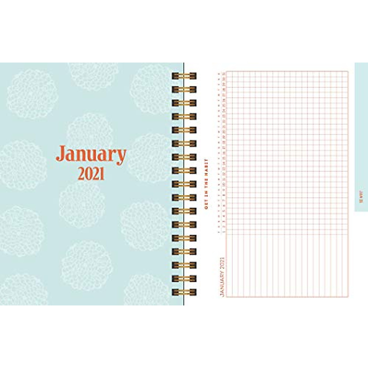 Posh: Deluxe Organizer 17-Month 2020-2021 Monthly/Weekly Planner Calendar: So Much Gratitude